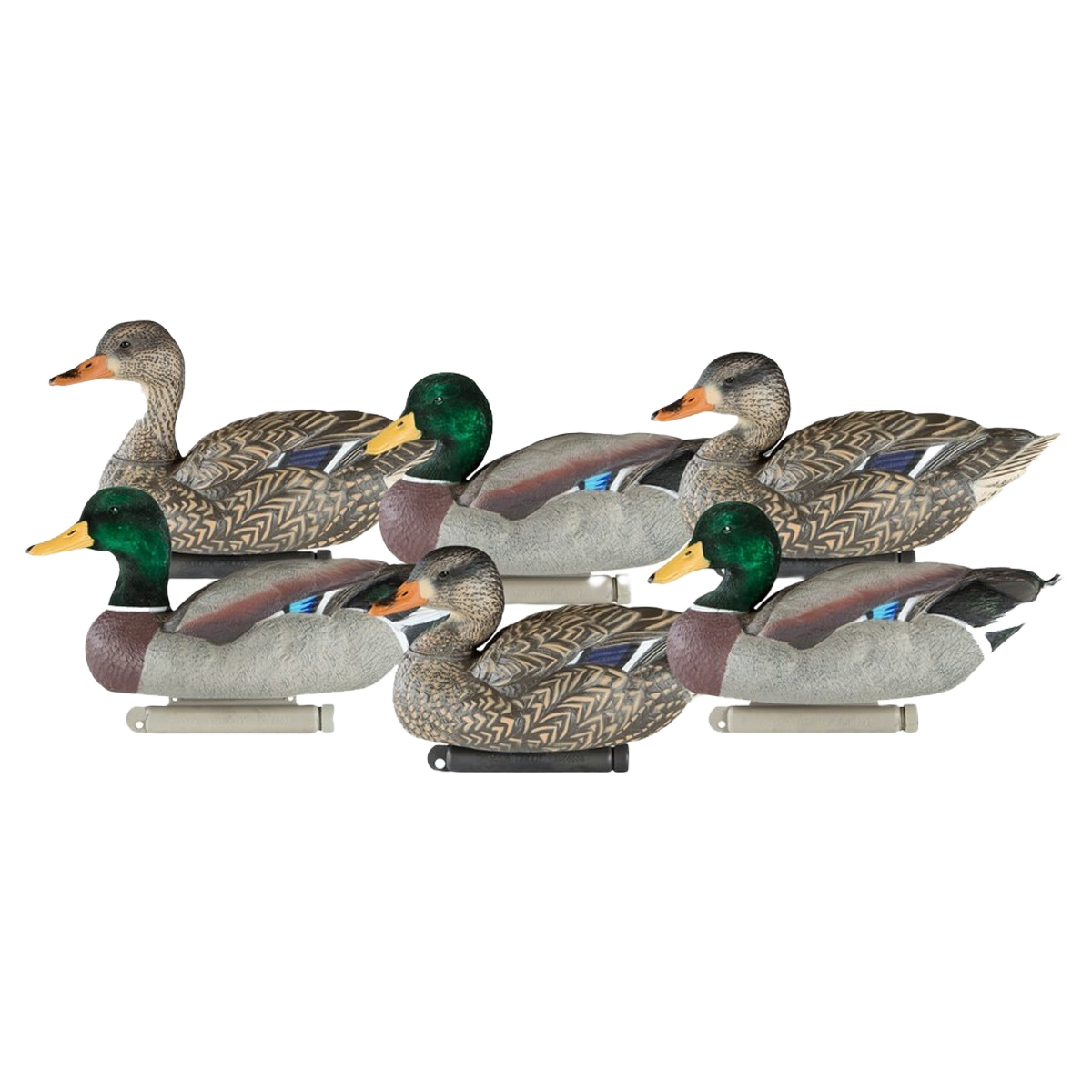 Dakota X-Treme Mallard Duck Decoys 6 Pack | Cabela's